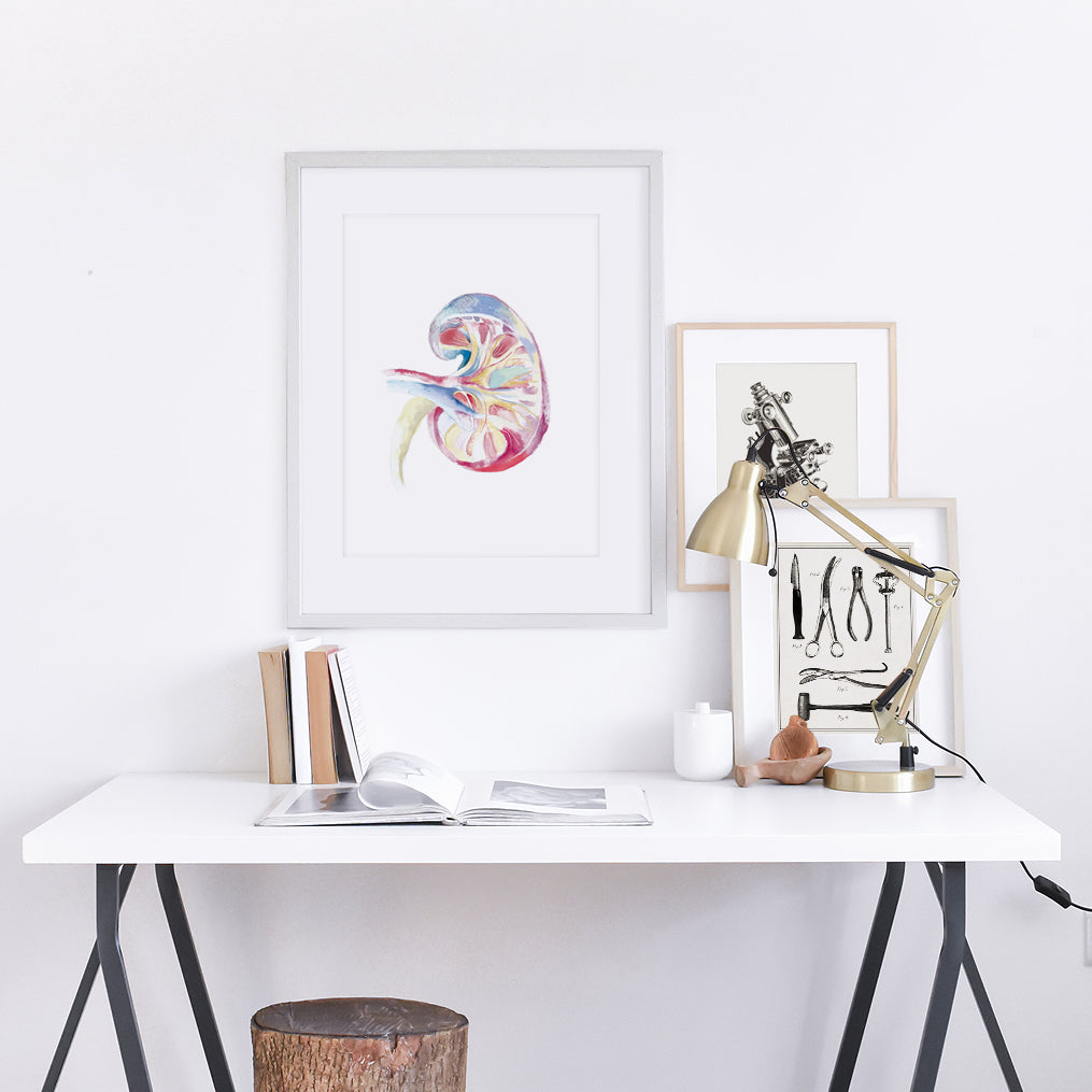 Human Kidney Watercolor painting Poster – The Forest Cloak