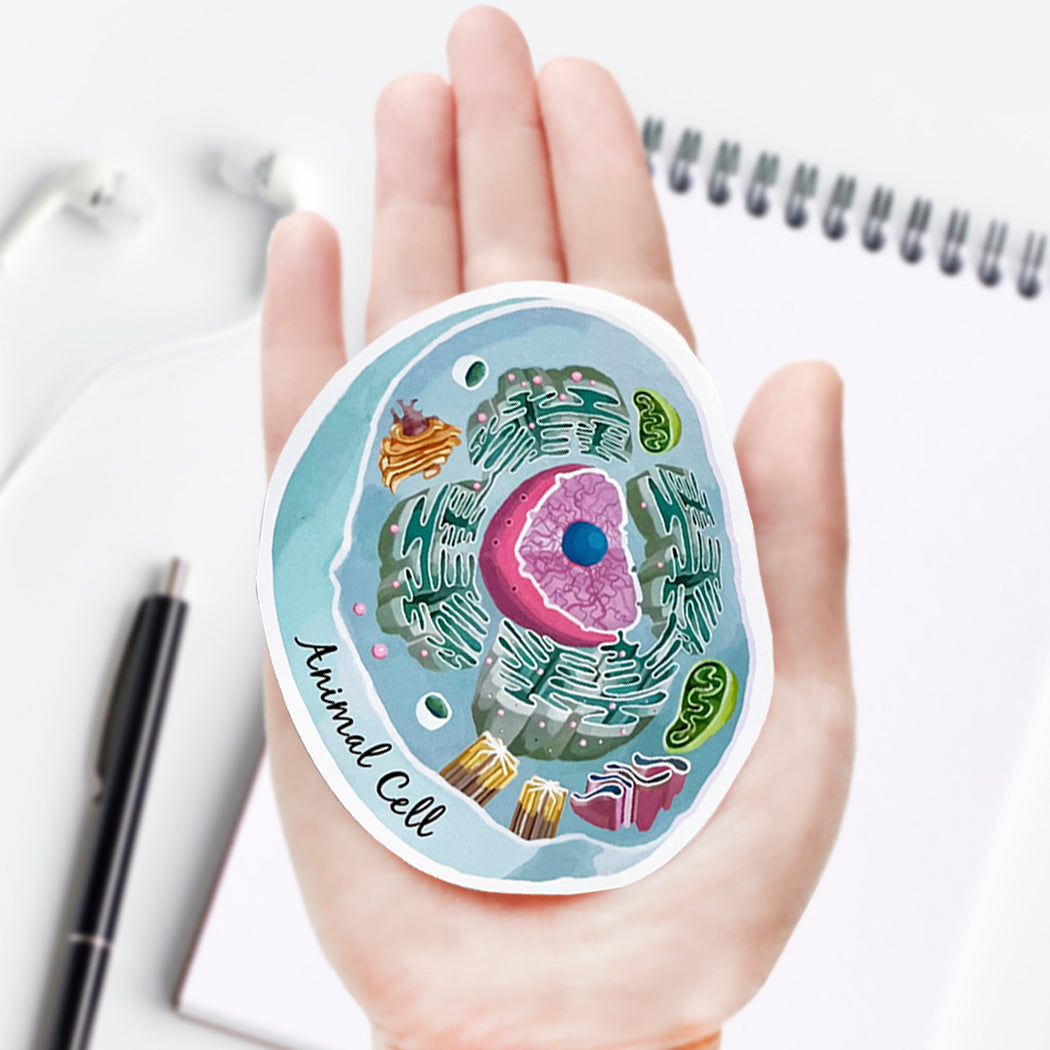 Animal Cell Cross Section Vinyl Sticker – The Forest Cloak