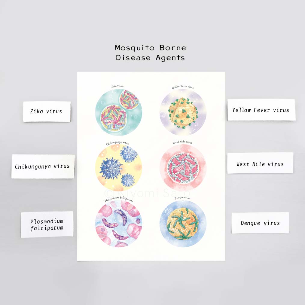 Mosquito Borne disease Agents Collection – The Forest Cloak