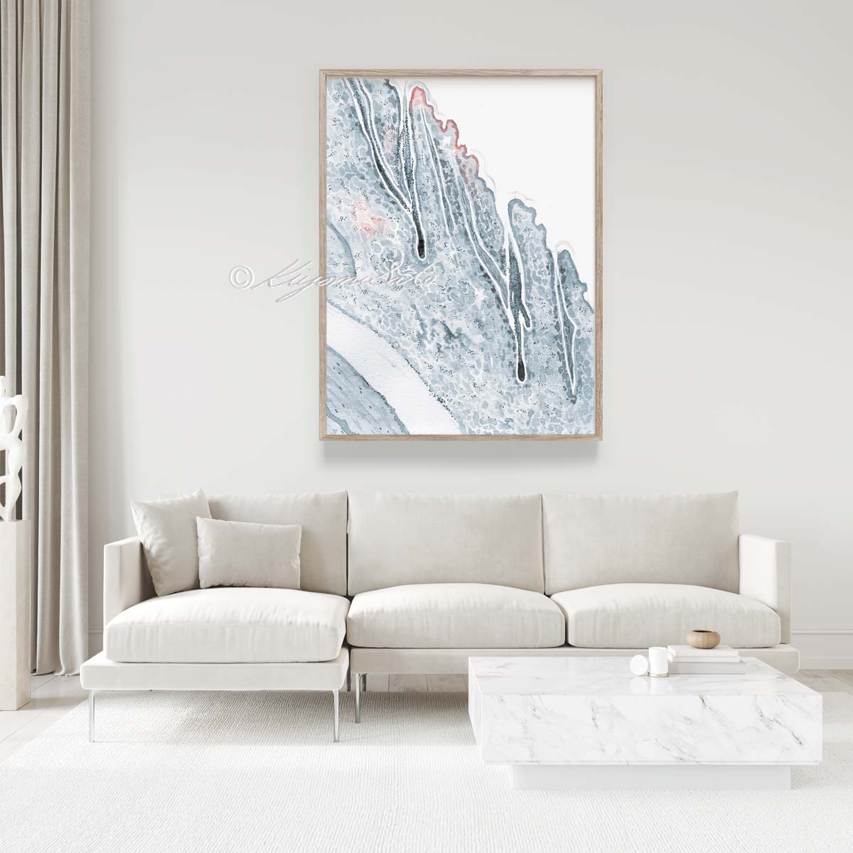 Cat Back Skin Histology – The Forest Cloak